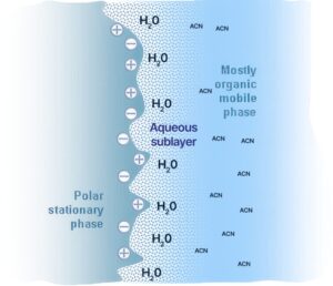 HILIC Columns: A Comprehensive Guide to Hydrophilic Interaction Liquid ...