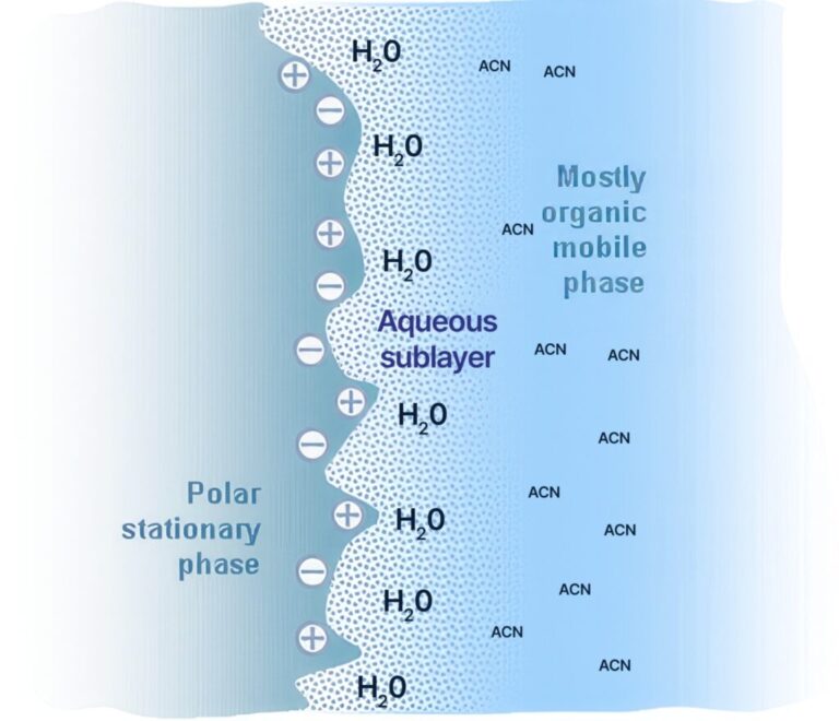 HILIC Columns: A Comprehensive Guide to Hydrophilic Interaction Liquid Chromatography - Zodiac ...
